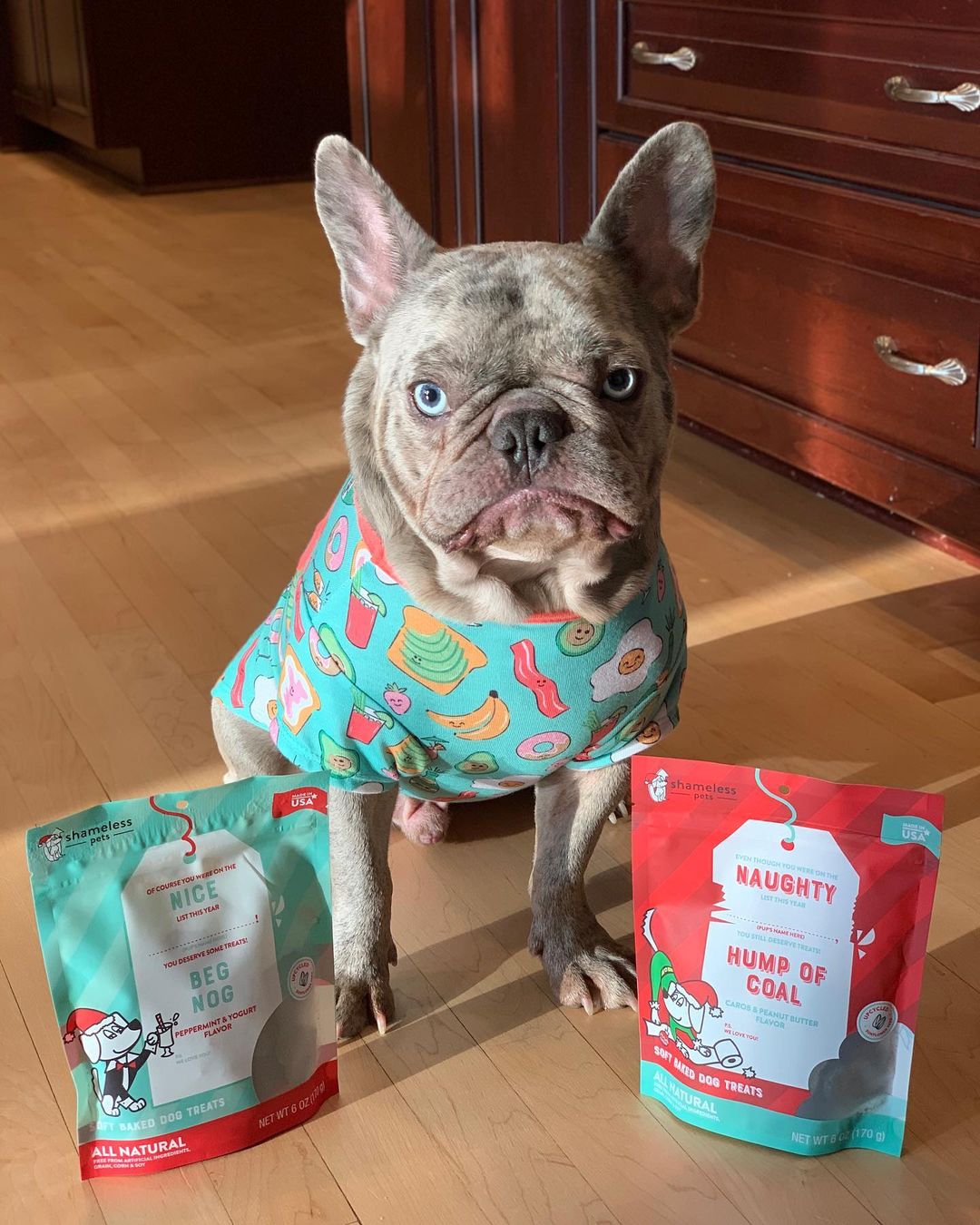 Holiday Treats - for Cats and Dogs with Upcycled Ingredients ...