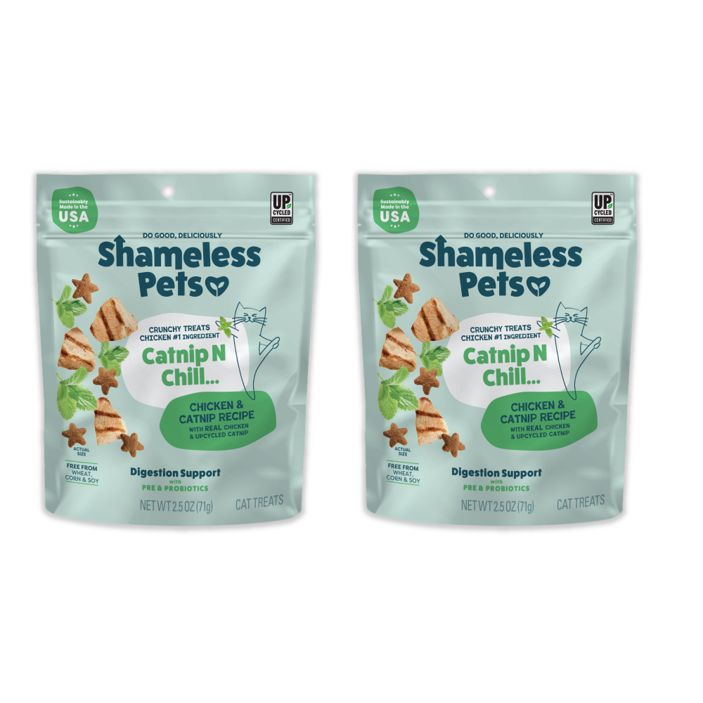 Dog Breeds 101: Dachshund Vs Doxin – Shameless Pets