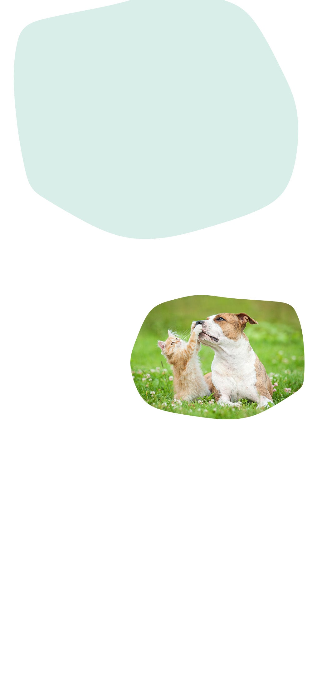 Upcycled Dog & Cat Treats | Made in USA | Doing Good, Deliciously ...