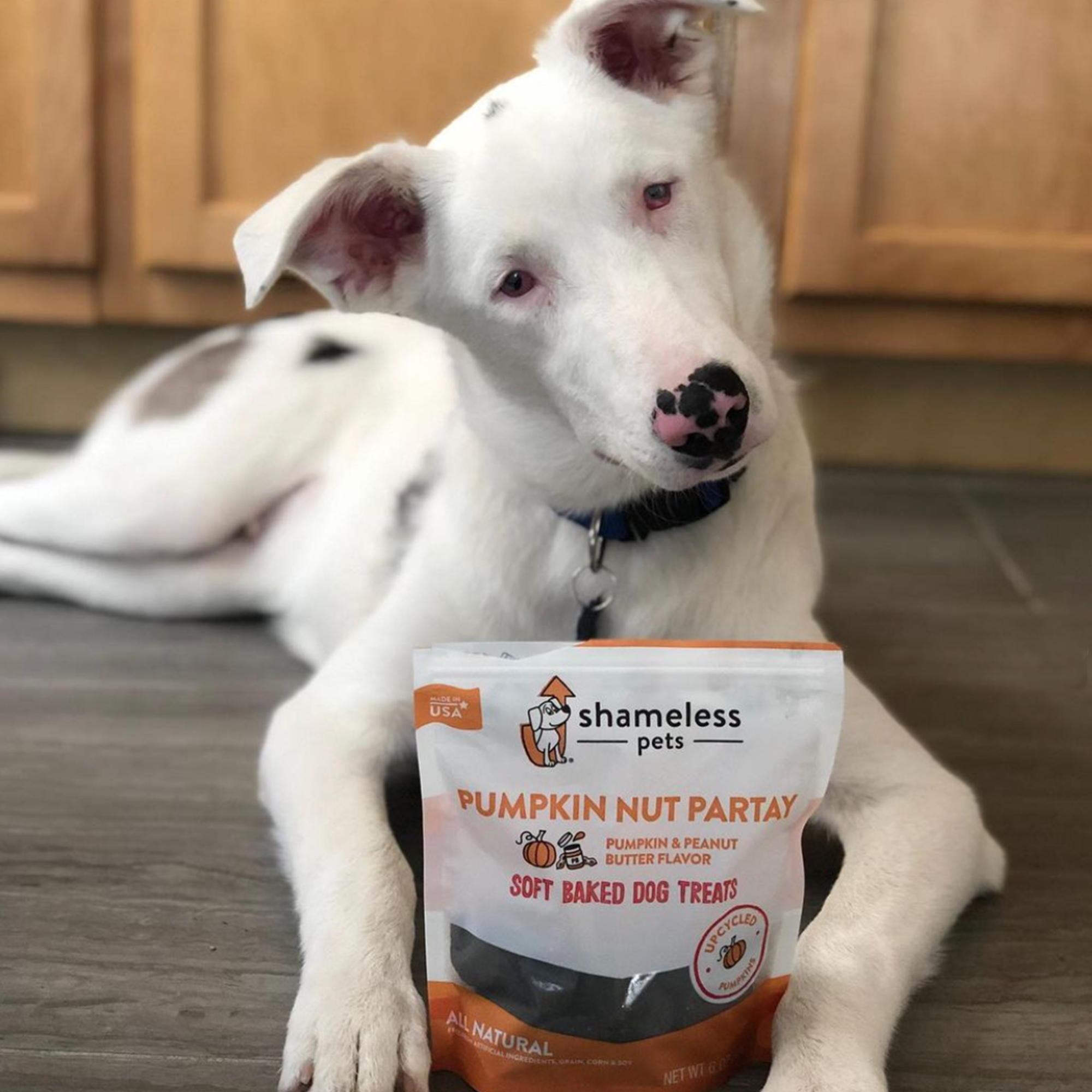 Test product compared to 2 – Shameless Pets